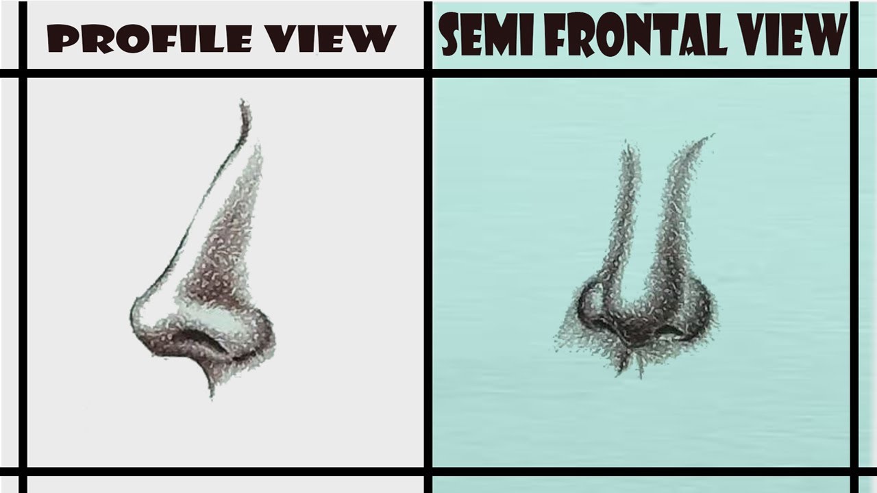 How to draw profile and front view of noses - Amazing & Easy to Sketch ...