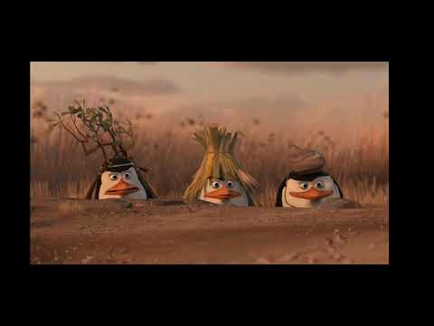 Madagascar 2 les pingouins piège les touristes (version française)