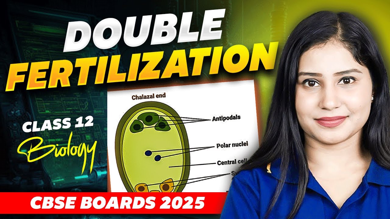 Double Fertilization | Class 12 Biology | CBSE Board Exam 2025 | Tamsa ...