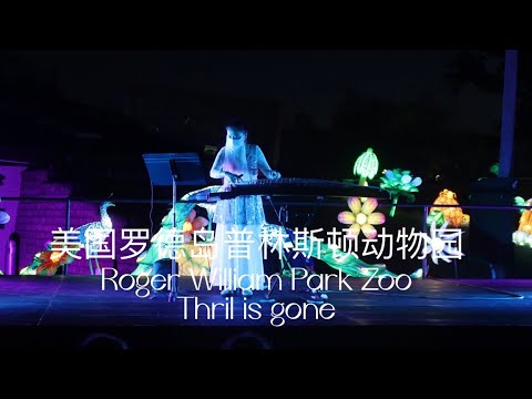 Melody Yan / Thril is Gone (New)/ Roger Williams Park Zoo/美国罗德岛普林斯顿动物园 ...