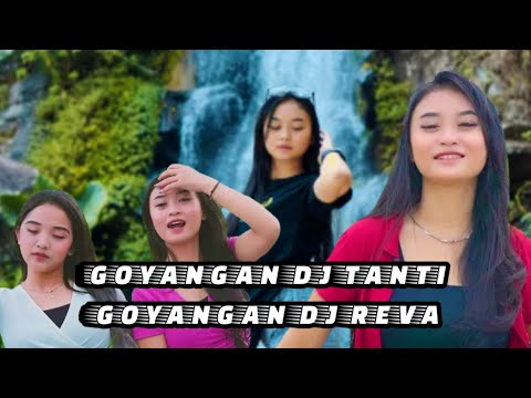 Goyangan pargoy tiktok hot pakelele dj tanti feat dj reva terbaru 2022
