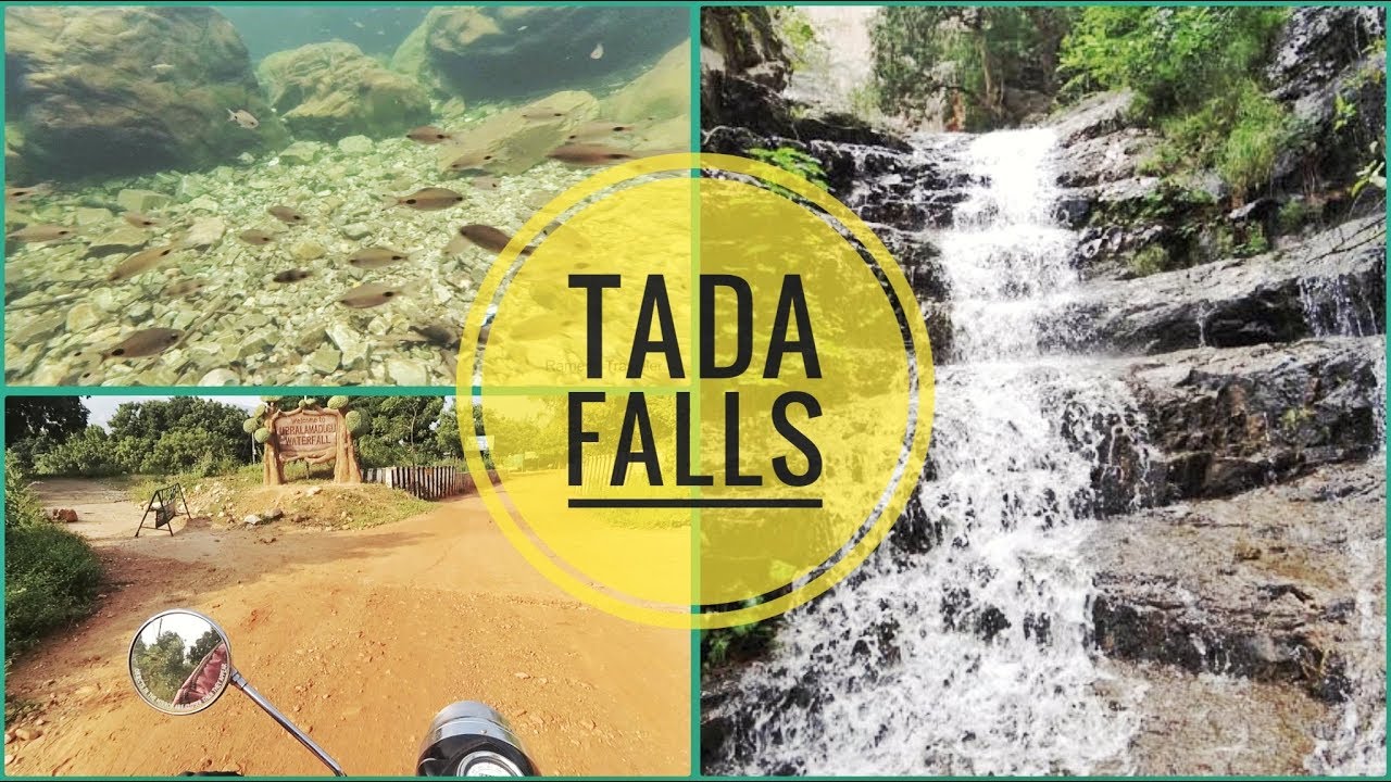 Chennai to Tada Falls | Ubbalamadugu Falls - YouTube