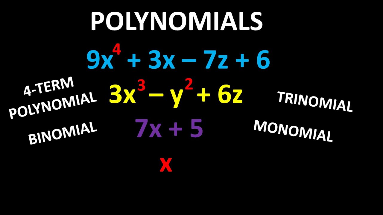 Polynomials - YouTube