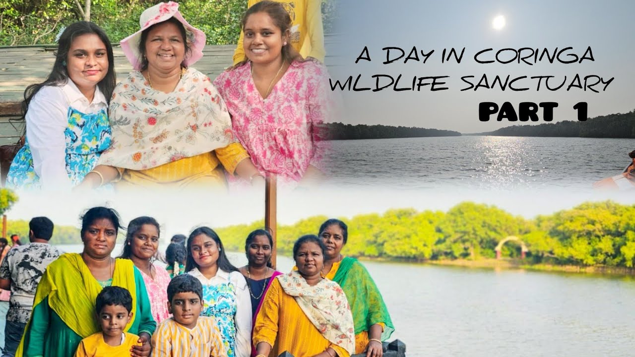India's THIRD Largest MANGROOVE ఫారెస్ట్ || CORINGA WILDLIFE SANCTUARY ...
