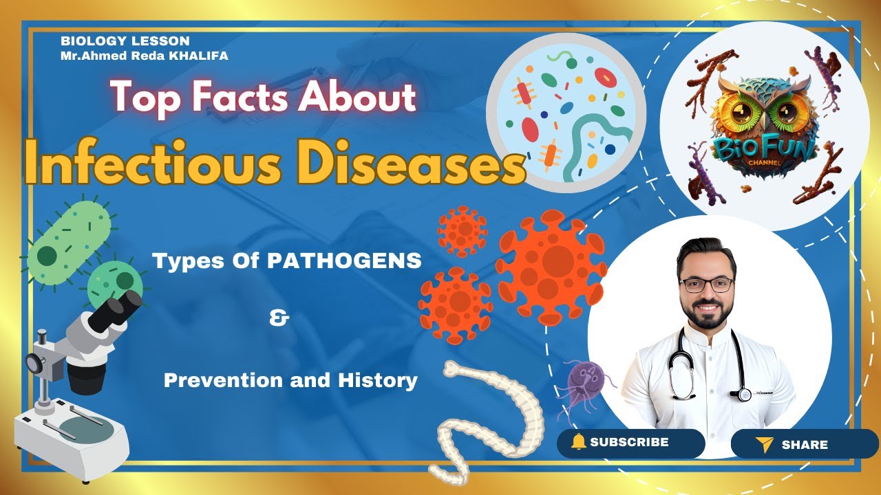 What Are Infectious Diseases? A Quick Guide to Pathogens, Prevention ...