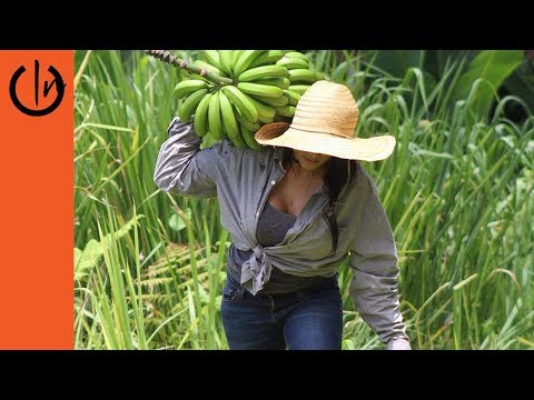 Agricultora Stephanie Rodriguez | Parte 1