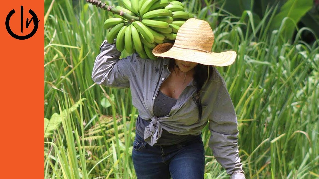Agricultora Stephanie Rodriguez | Parte 1 - YouTube