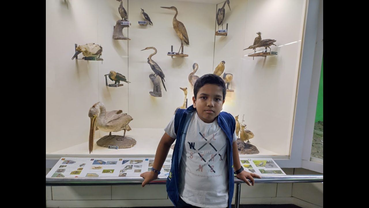 The Wonders of Natural History Museum - TVM, Kerala 2024 - YouTube