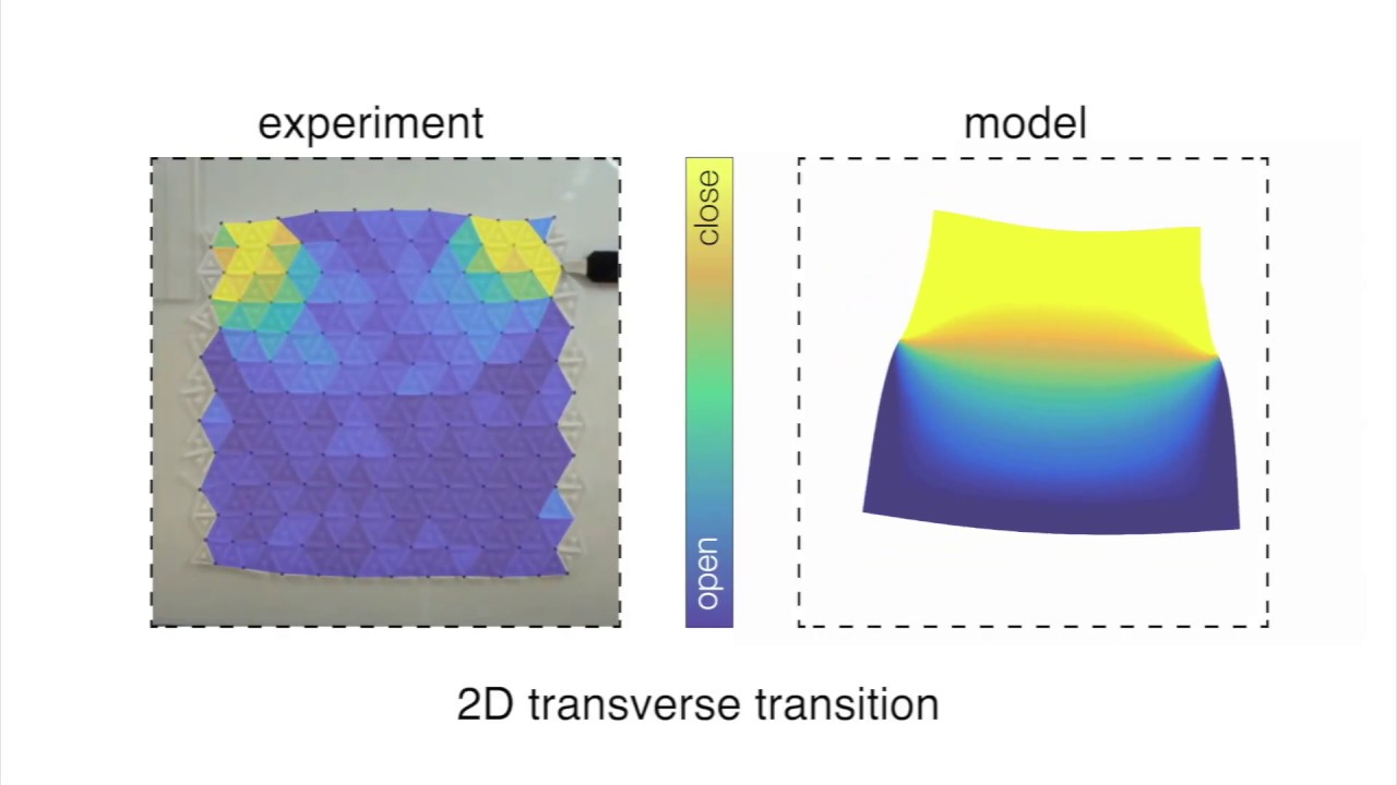 Guided transition waves in multistable mechanical metamaterials - YouTube