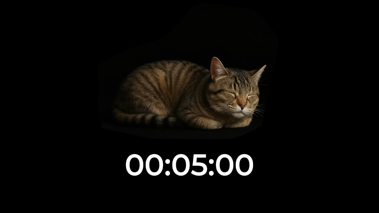 5 Minute Relaxing Cat No Music Timer | Sleeping Cat Loop for Quick ...
