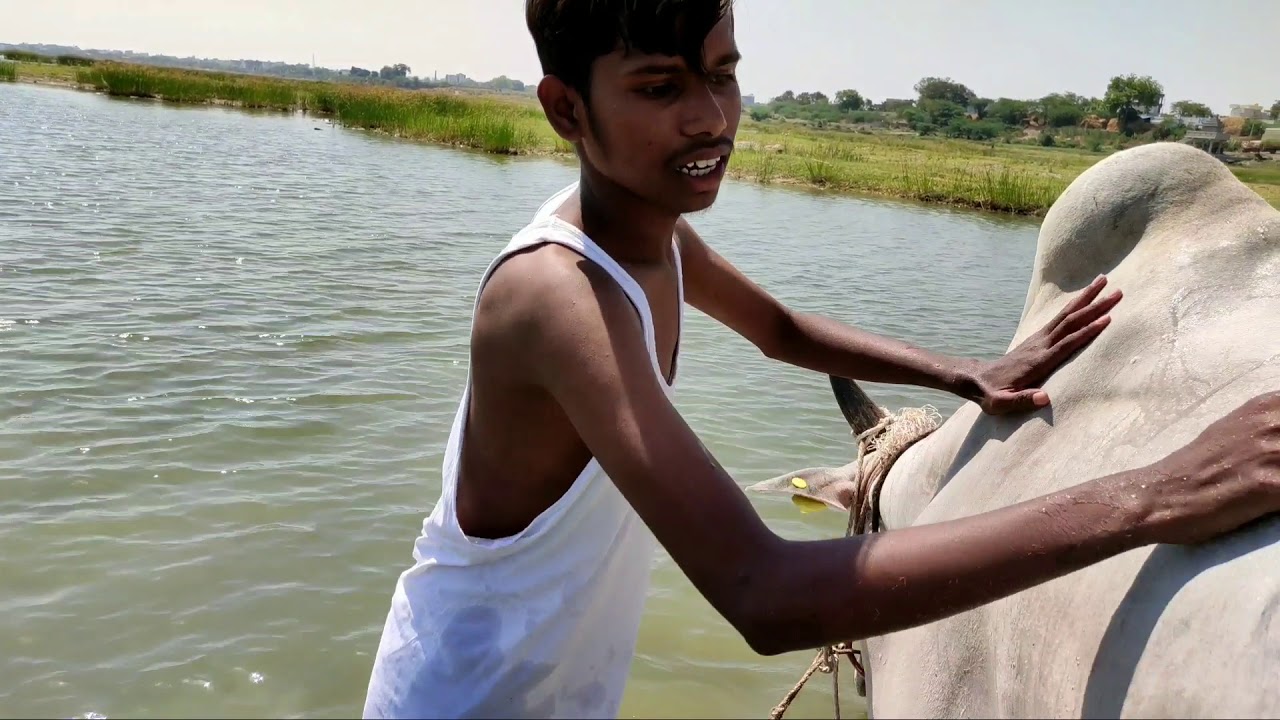 Raithe Raju||Latest Telugu Short Films||Kurnool Short Films||Village ...