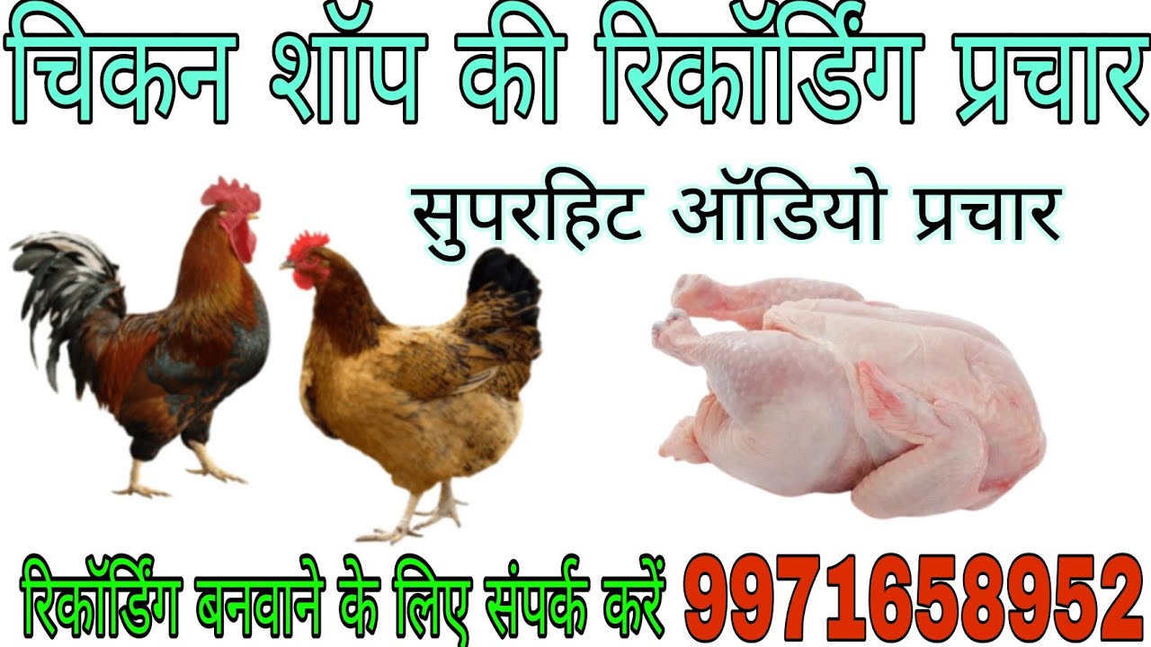 चिकन शॉप की रिकॉर्डिंग प्रचार!! chicken shop ki recording parchar - YouTube