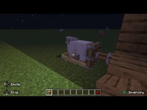 Minecraft_20240803175217 - YouTube
