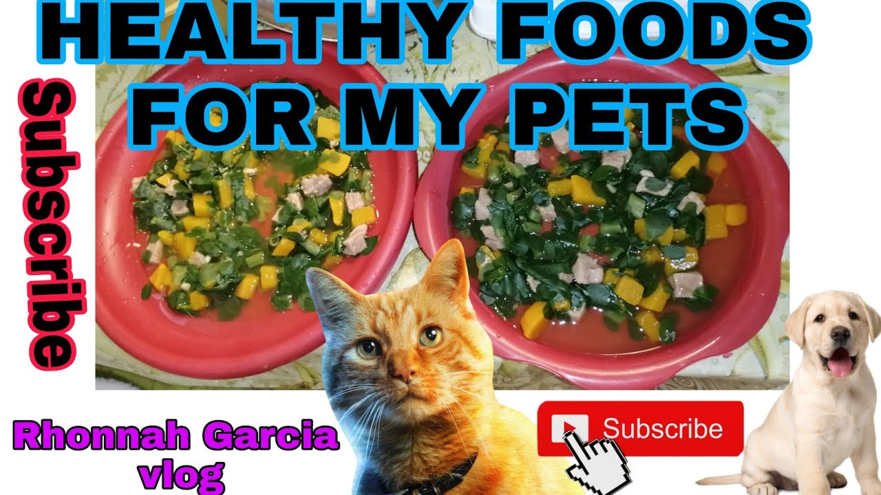 How I prepare foods of my Fur babies. Healthy food for ur pets. - YouTube