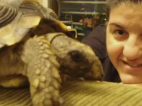 video 2008 - YouTube