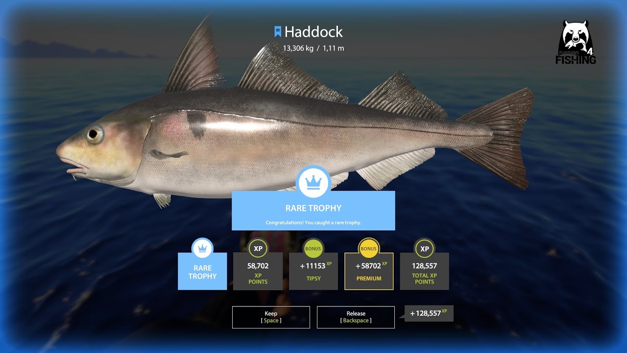 Russian Fishing 4 RF4 RARRE TROPHY HADDOCK | FISHING ON THE NORWEGIAN ...