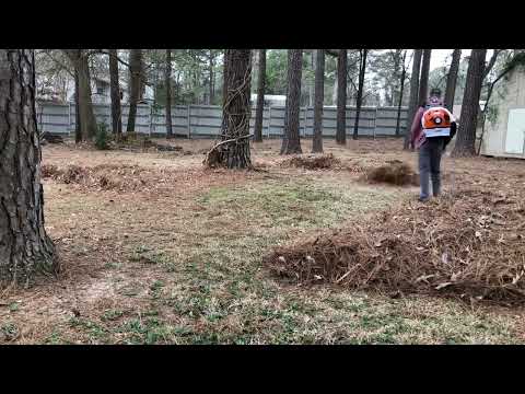 Satisfying pine needle clean up with blowers. - YouTube
