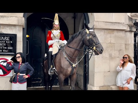 "Majestic Moments: A Day of Splendor with the King's Horse at Horse ...