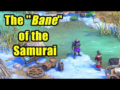 Samurai can't defeat this unit | Age of Empires 2 - YouTube