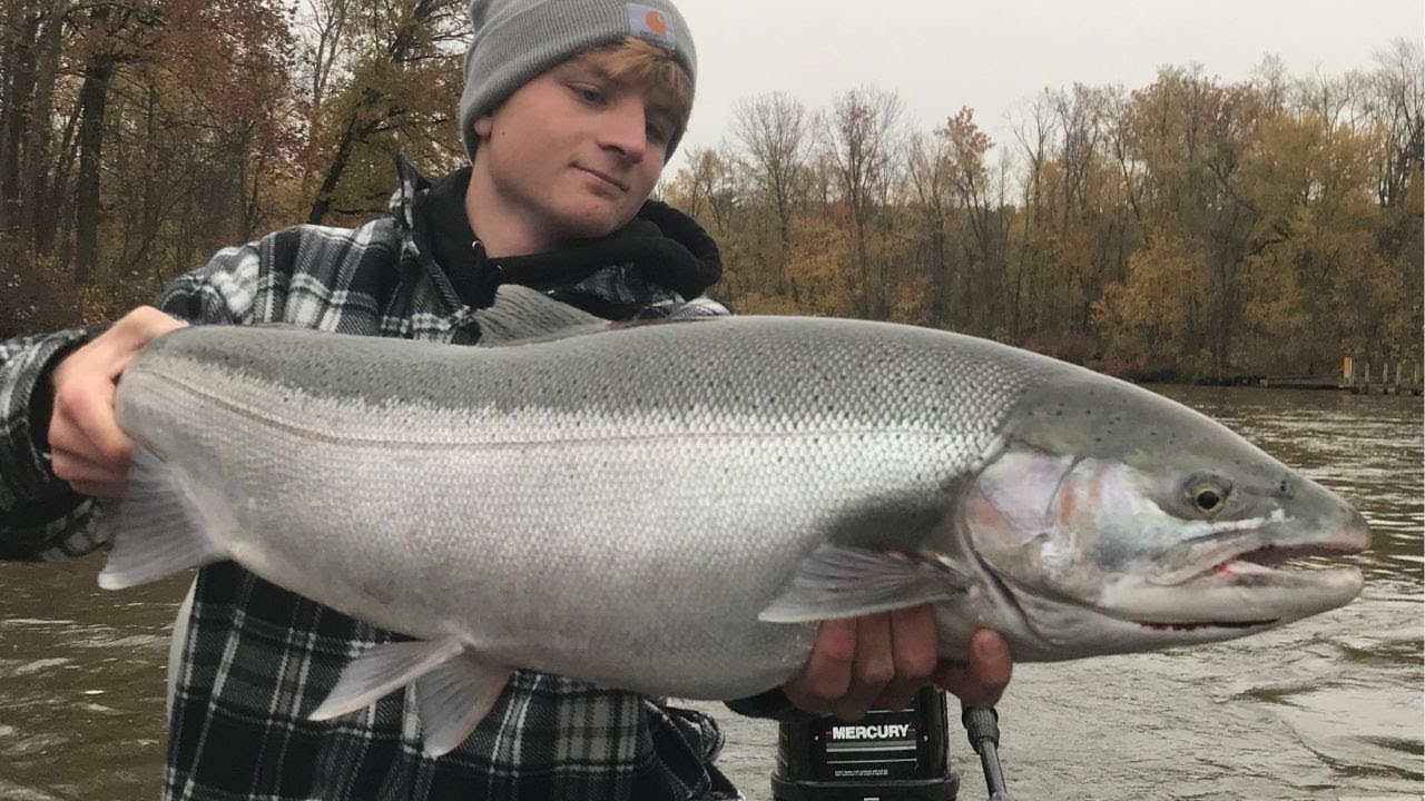 CENTERPINNING FALL STEELHEAD - NEW PB STEELHEAD - YouTube