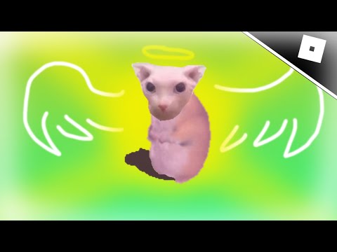 How to find \