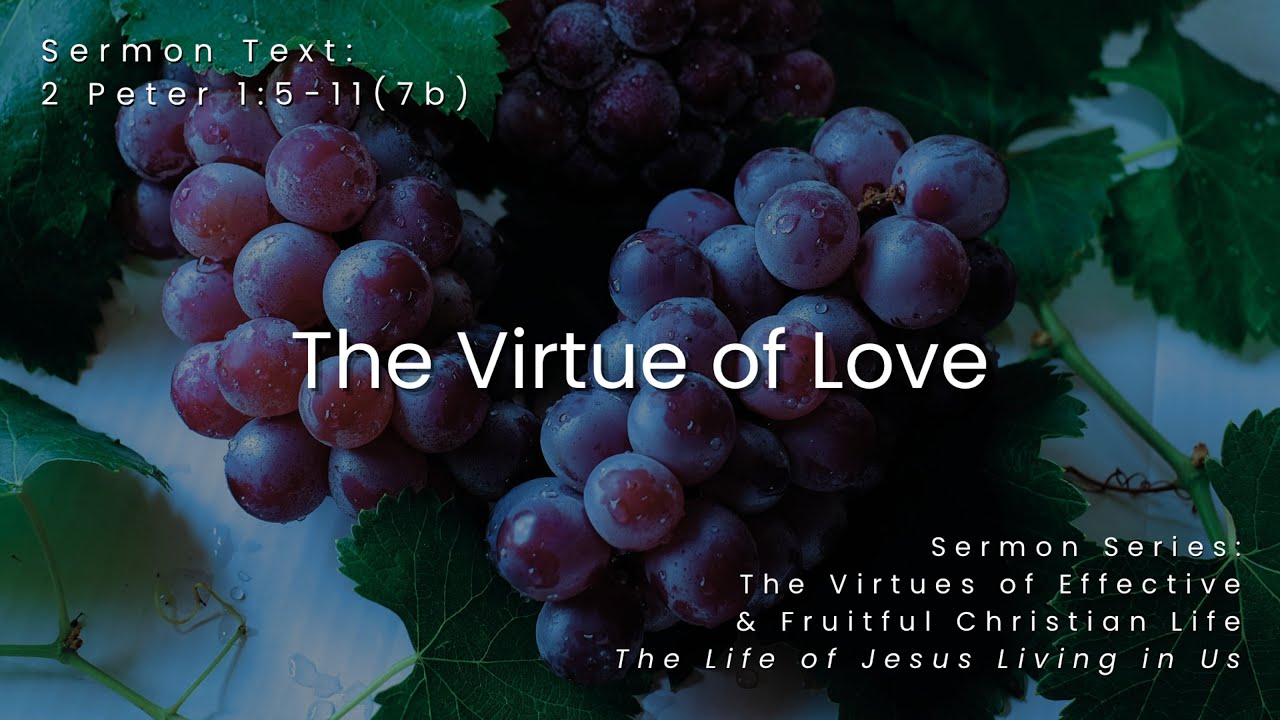 The Virtue of Love- 2025-02-09 - Rev. A.B. Roukema - YouTube