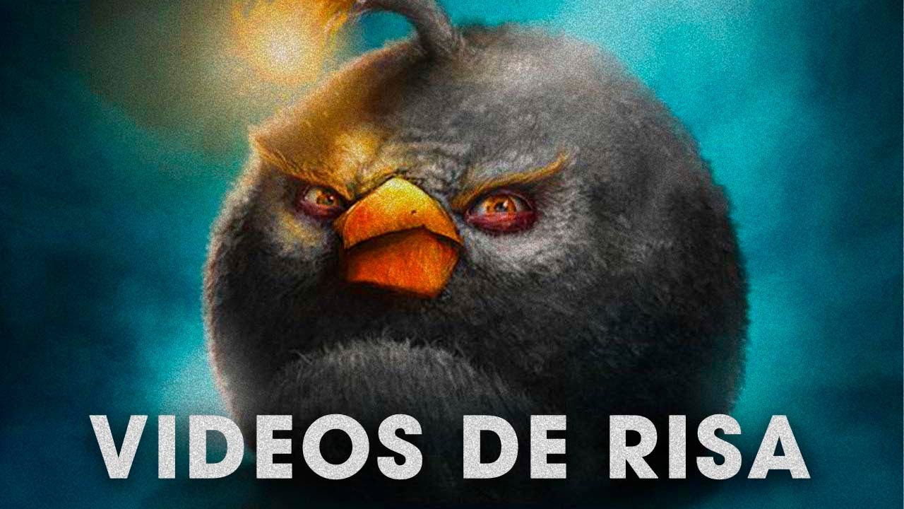 VIDEOS DE RISA - YouTube