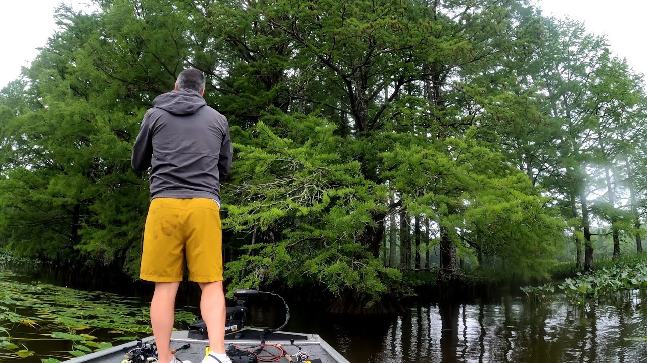 These Trees Are FULL of Fish!...Spring Bass Fishing - YouTube