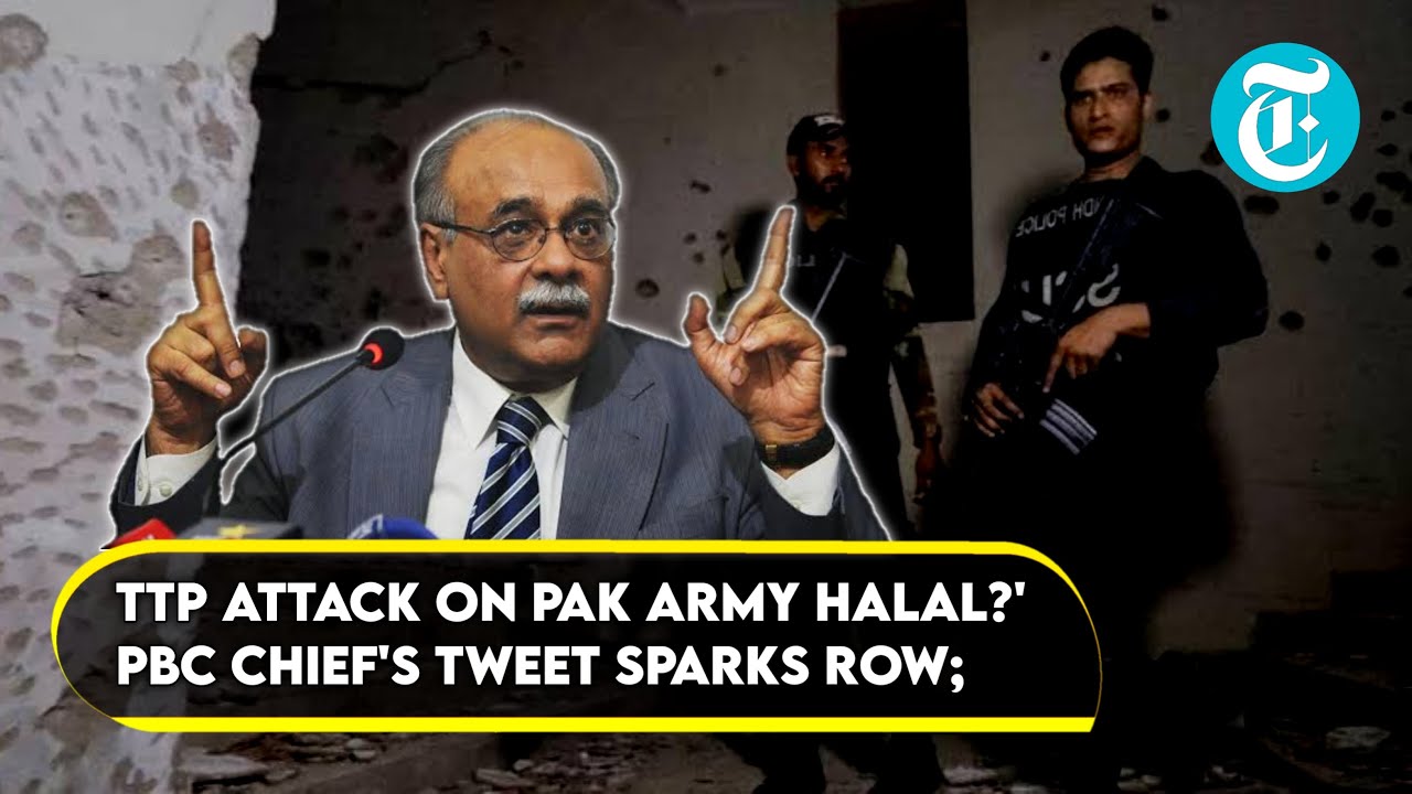 TTP Attack On Pak Army Halal?' PCB Chief's Tweet Sparks Row; Defence ...