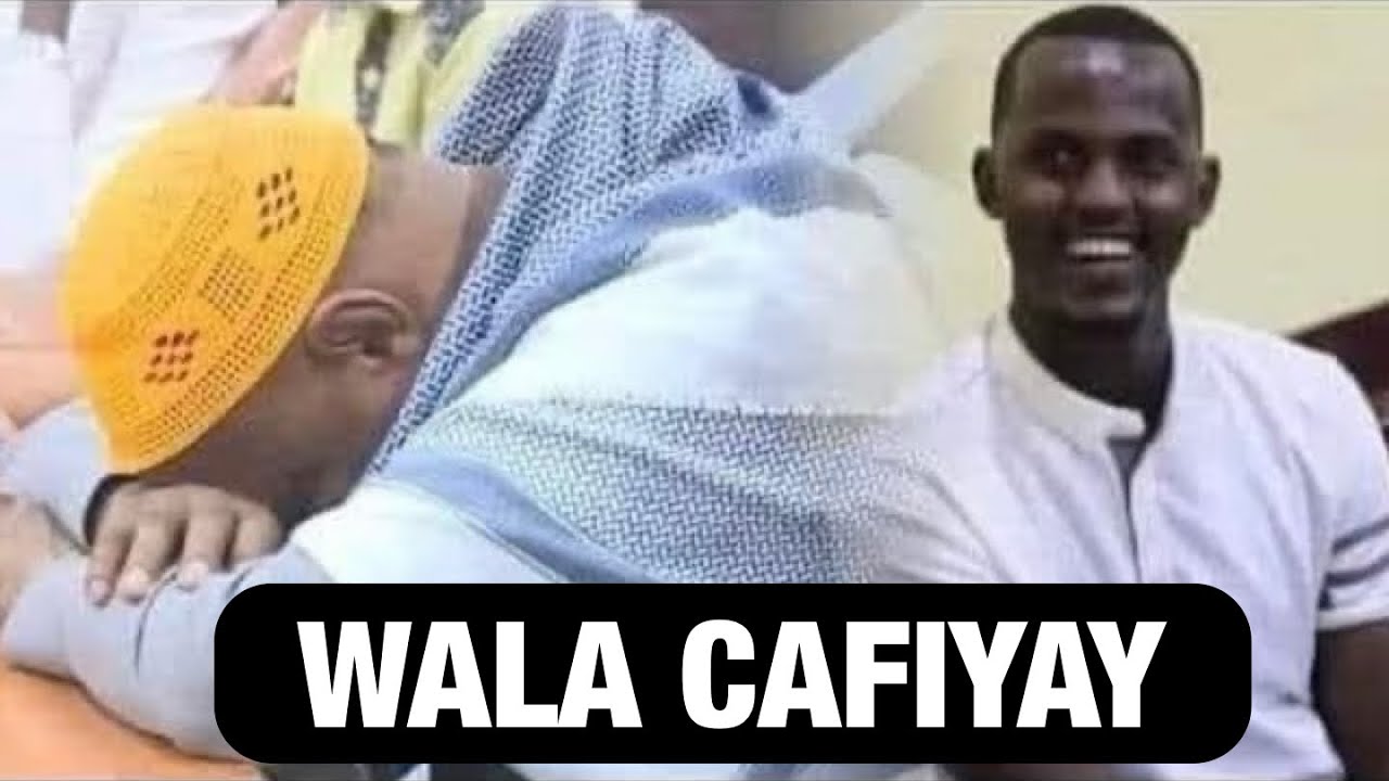 Sayid Cali Oo La Cafiyay Inanta Abeheed Oo Diyo Qatay Maxa Ka Jira ...