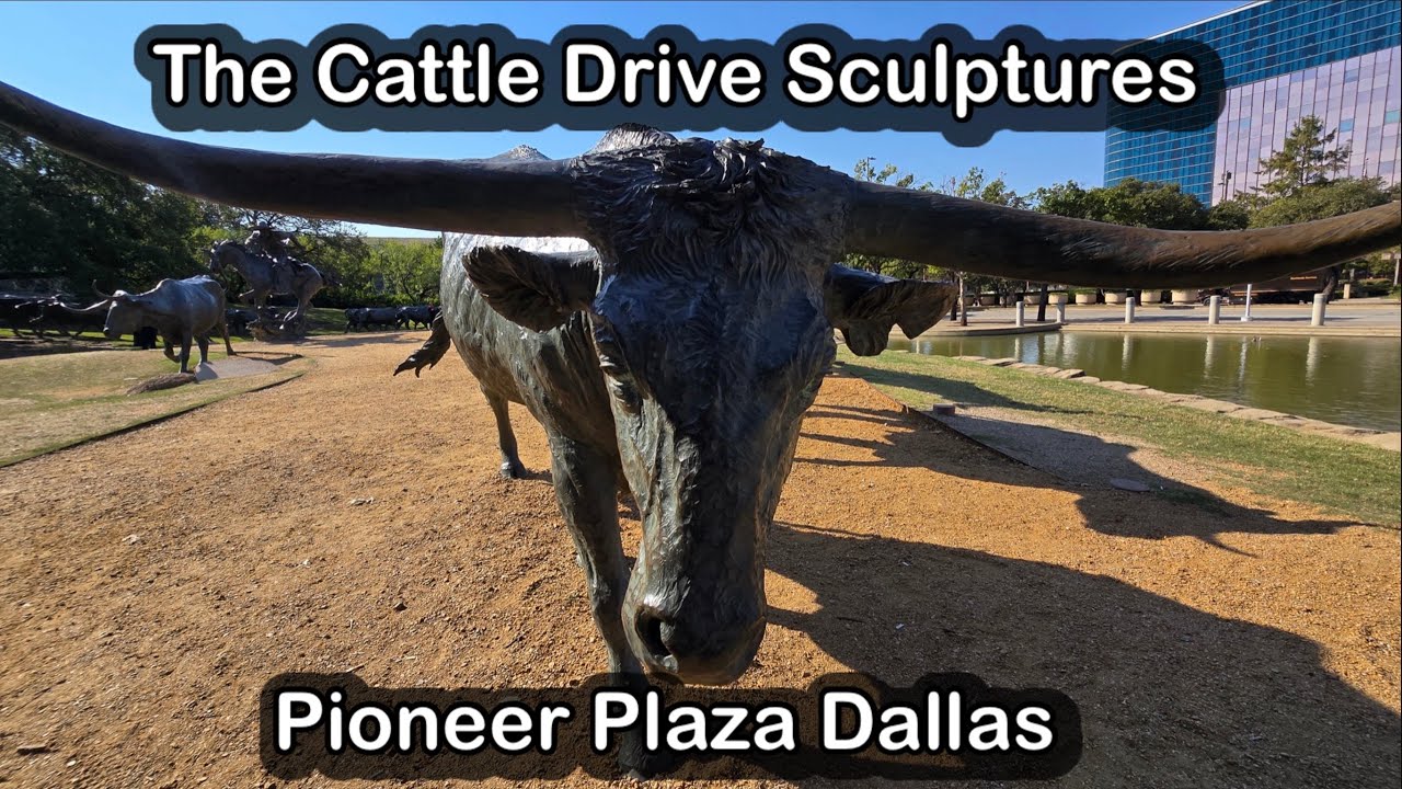 A Stampede of Art: Dallas’ Cattle Drive Sculptures - YouTube