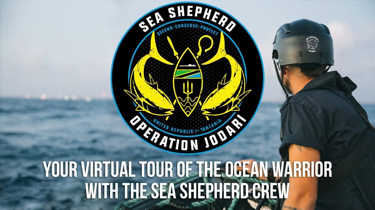 Virtual Tour of the Ocean Warrior: Meet the Sea Shepherd Crew - YouTube
