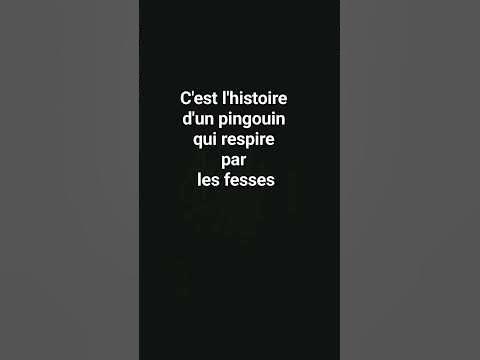 L'histoire d'un Pingouin - YouTube