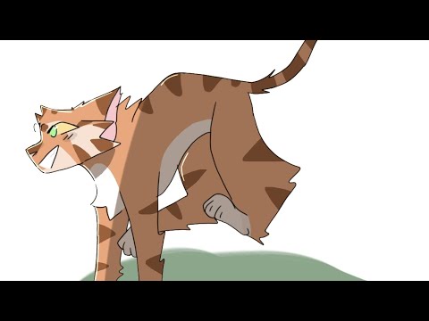 firepaw speed-draw!!! ♡♡♡♡ at 10 likes I'll draw any warrior ...