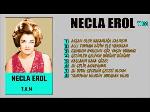 Necla Erol, Allı Turnam