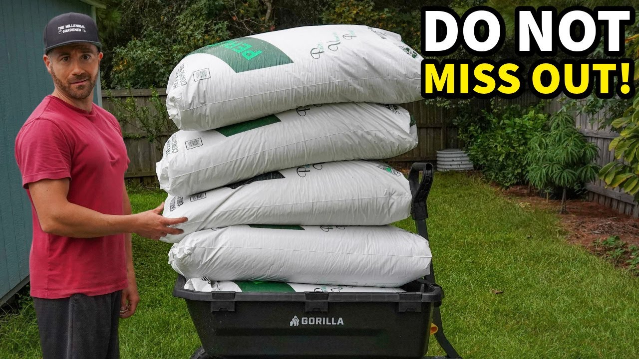 I Went A Little Overboard... - YouTube