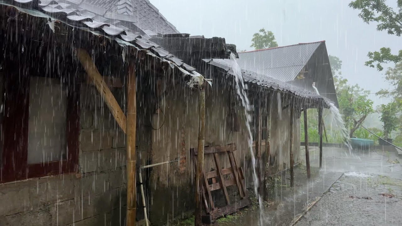 Super Heavy Rain and Thunder Hits My Village Indonesia, Deep Sleep With ...
