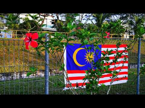 Gabungan Bunga Raya dan Jalur Gemilang | Free Royalty Merdeka! - YouTube