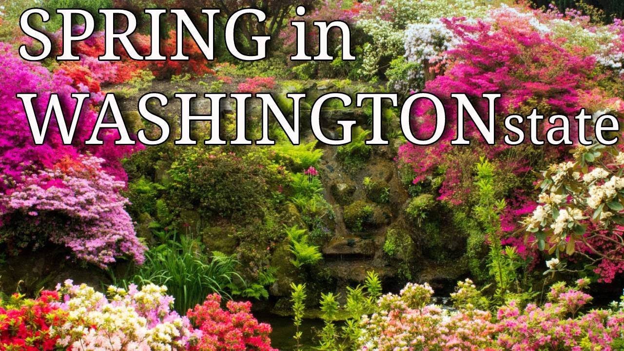 ВЕСНА В ШТАТЕ ВАШИНГТОН | Прогулка | Весенние улицы город Кент | Spring ...