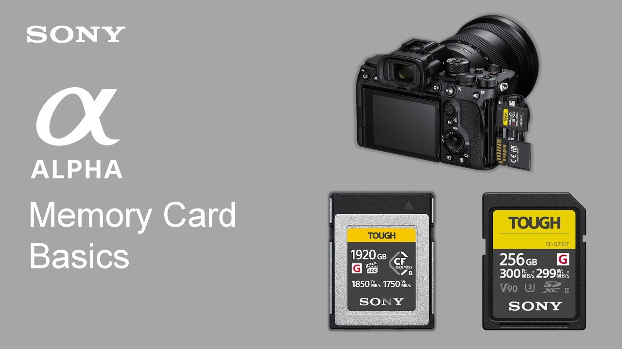 Sony LIVE | Simplified: SONY ALPHA: Memory Card Basics - YouTube