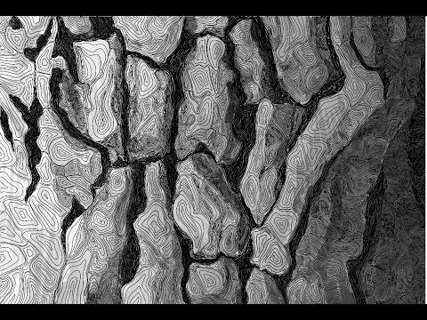 Bark texture | linework | speedpaint for art GCSE - YouTube