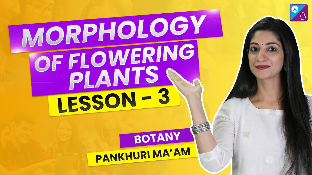 Floral Families - Morphology of Flowering Plants Class 11 Botany ...