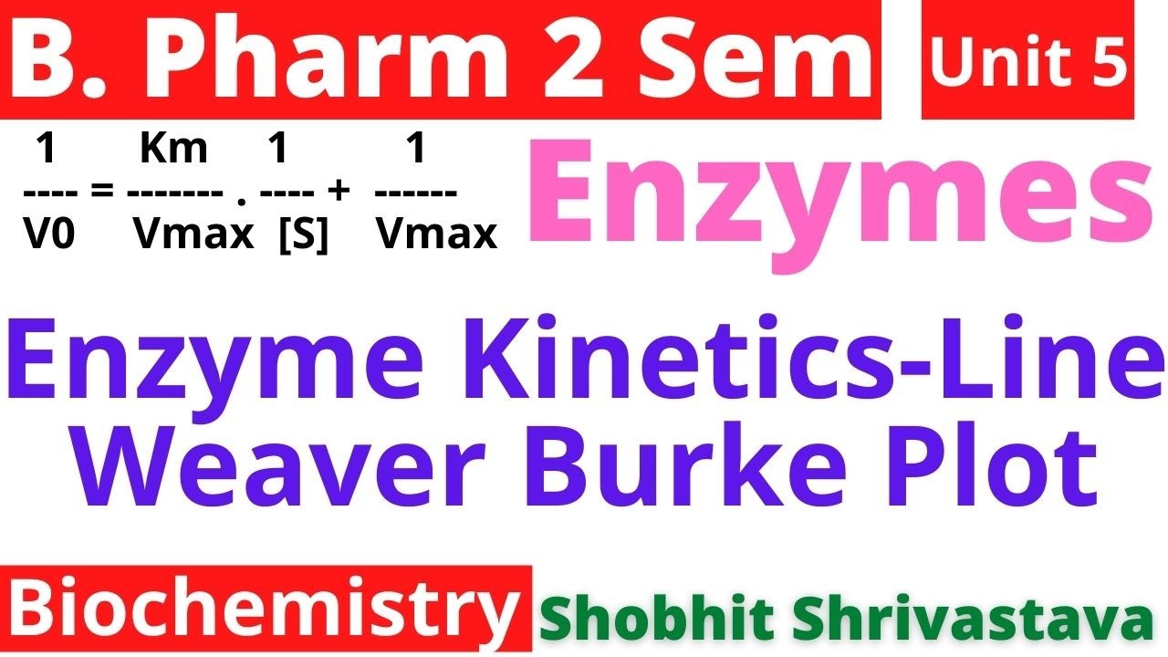 Line Weaver Burke Plot/Equation-Biochemistry-Enzymes-Biochemistry-B ...
