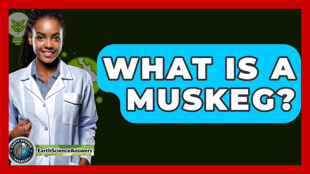 What Is A Muskeg? - Earth Science Answers - YouTube