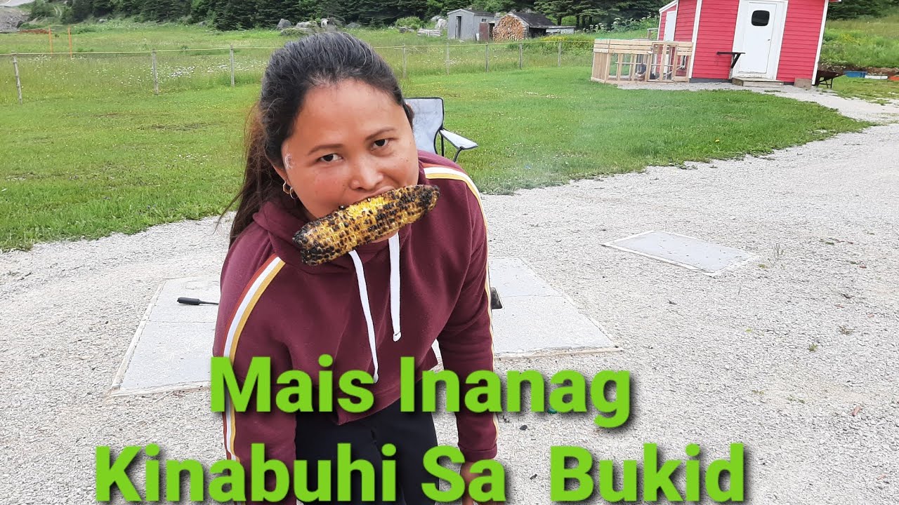Kinabuhi Sa Bukid / Simple Life/ Inanag Mais - YouTube