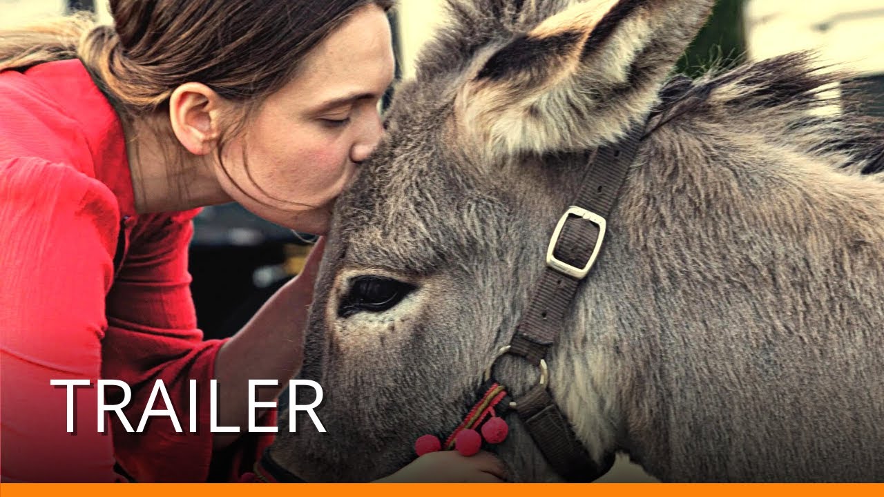 EO | Trailer italiano del film di Jerzy Skolimowski - YouTube