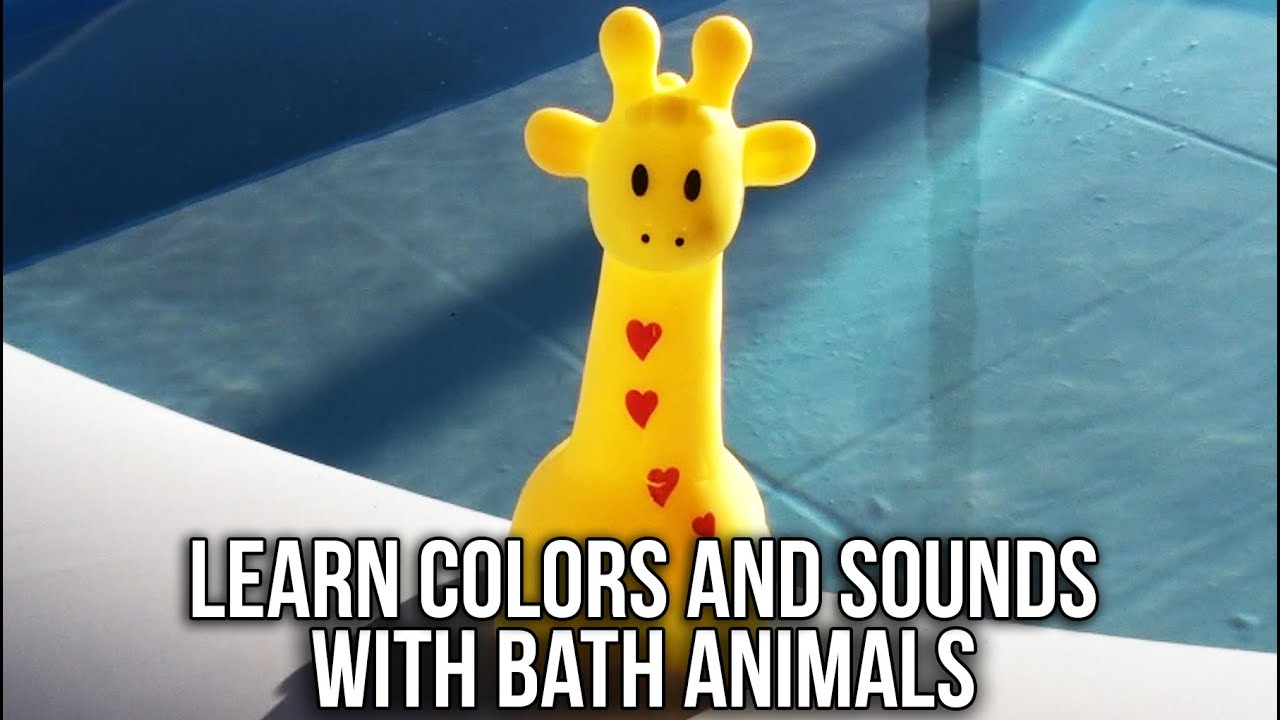 Learn Animals, Colors and Sounds With Squeaky Floating Bath Animals ...