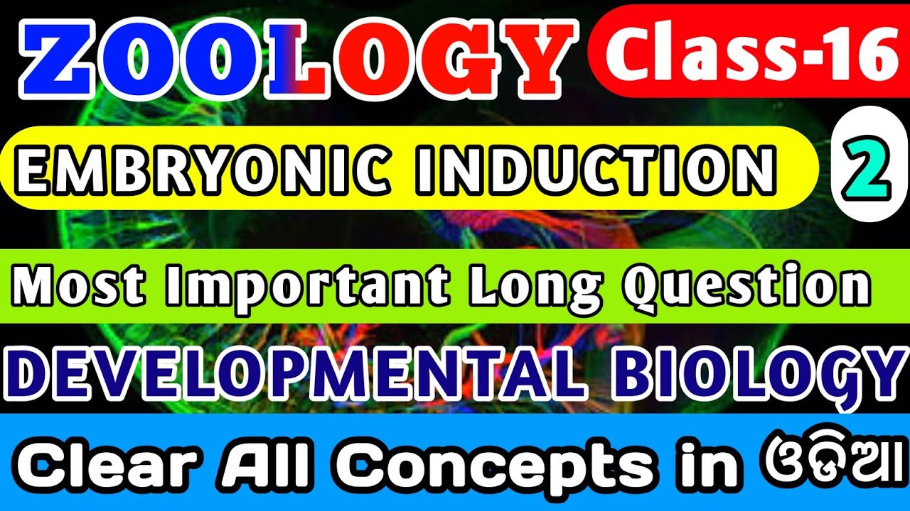 🎯EMBRYONIC INDUCTION & SPEMANN'S ORGANIZER CONCEPT -Part 2 ...