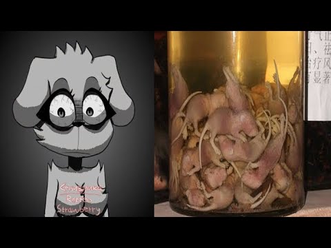 Talking Bella Becoming Uncanny (Your Drink) - YouTube