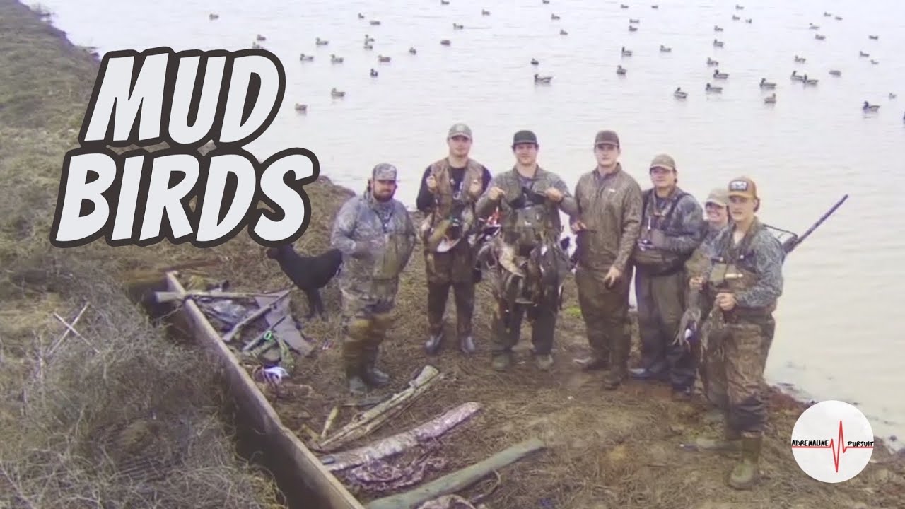 Duck hunting over cut rice field - YouTube